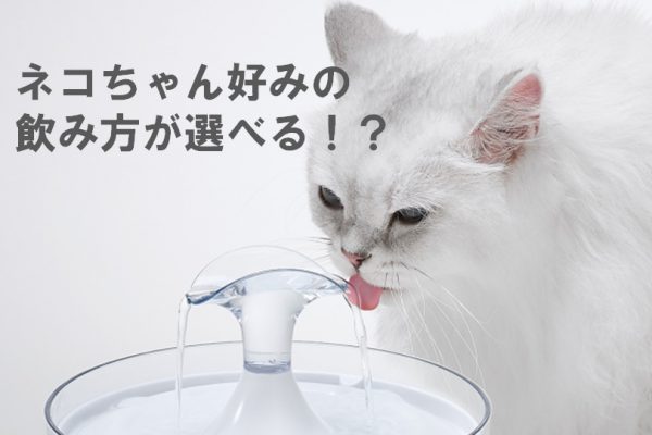 GEX Dog & Cat Time 犬 猫 飼育用品 ジェックス株式会社