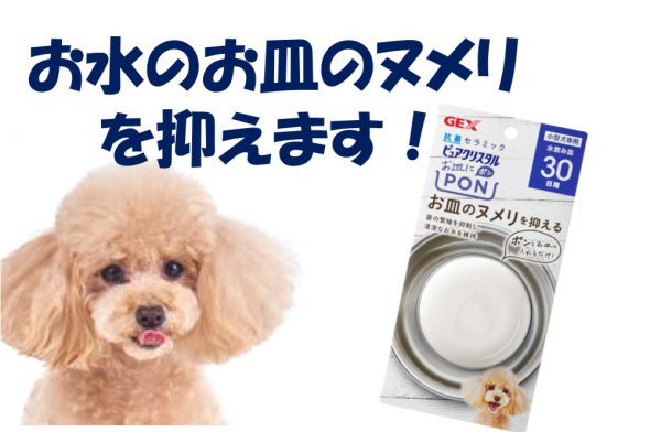 GEX Dog & Cat Time 犬 猫 飼育用品 ジェックス株式会社