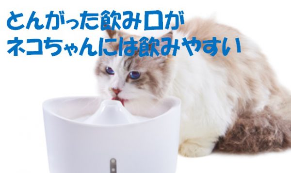GEX Dog & Cat Time 犬 猫 飼育用品 ジェックス株式会社