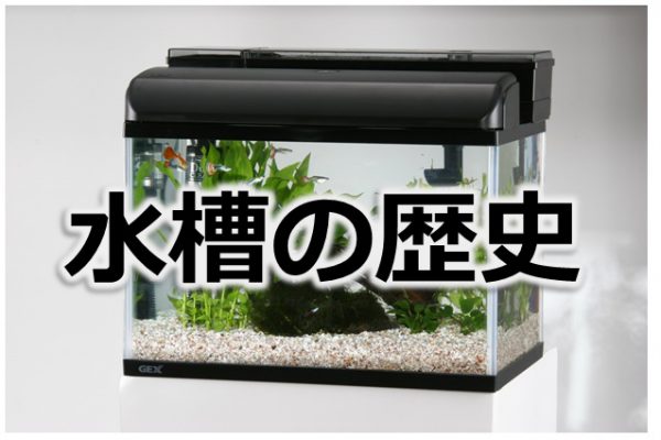 商品ストーリー GEX Aquarium Time 熱帯魚 観賞魚 アクアリウム用品 ジェックス株式会社