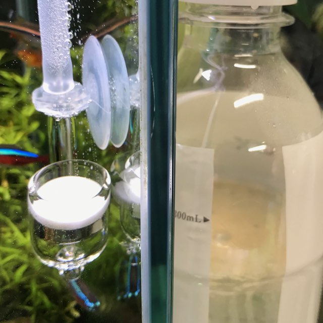 【2023年】お悩み解決！～発酵式水草CO2スターターセットを使ってみよう！～