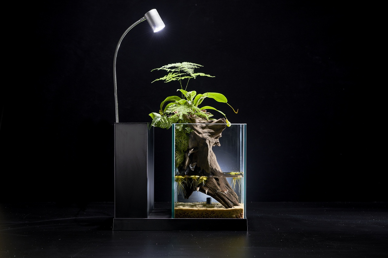 GEX aquarista『AQUA SCAPE』シリーズ登場