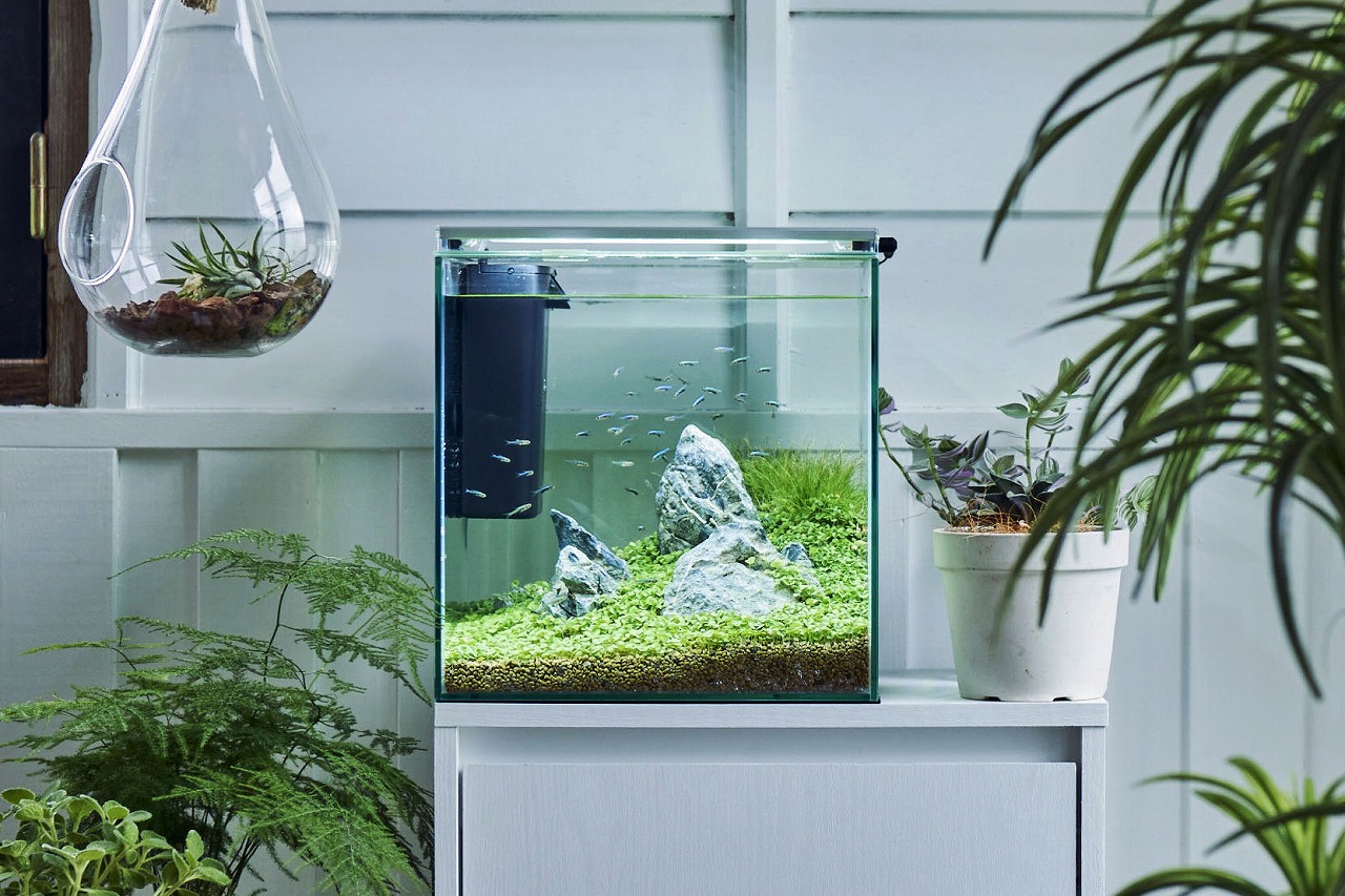 GEX aquarista『AQUA SCAPE』シリーズ登場