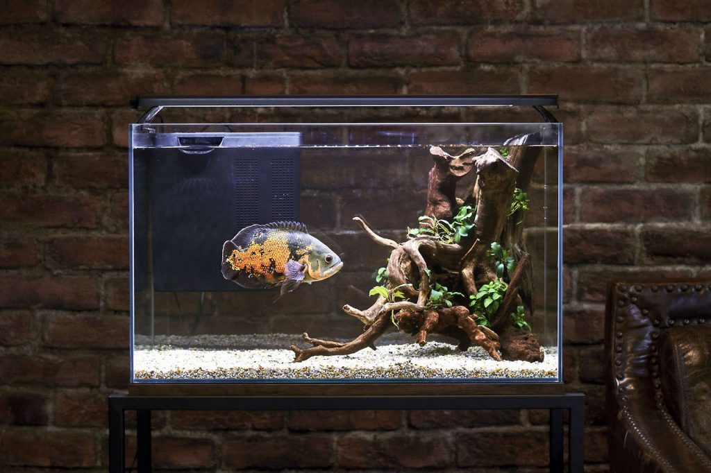 GEX aquarista『AQUA SCAPE』シリーズ登場