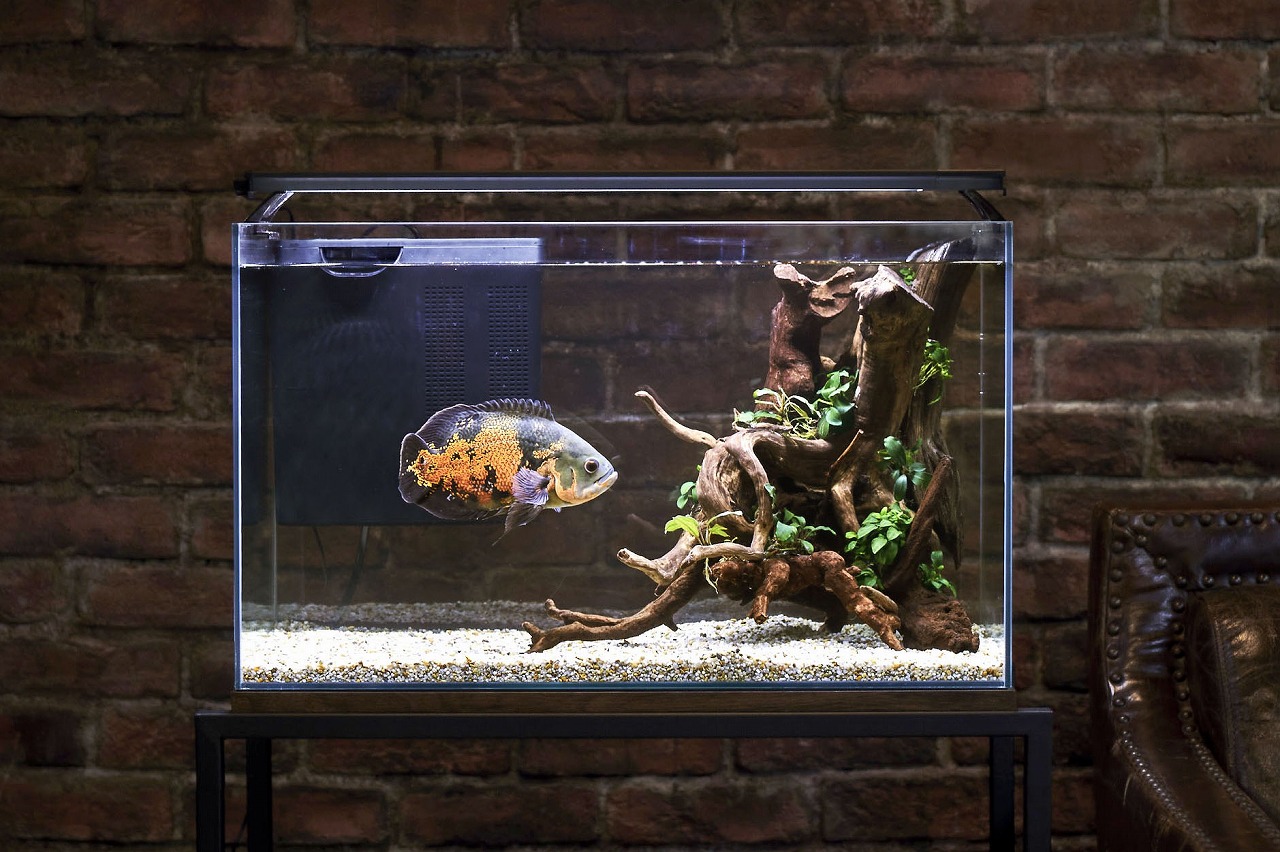 GEX aquarista『AQUA SCAPE』シリーズ登場