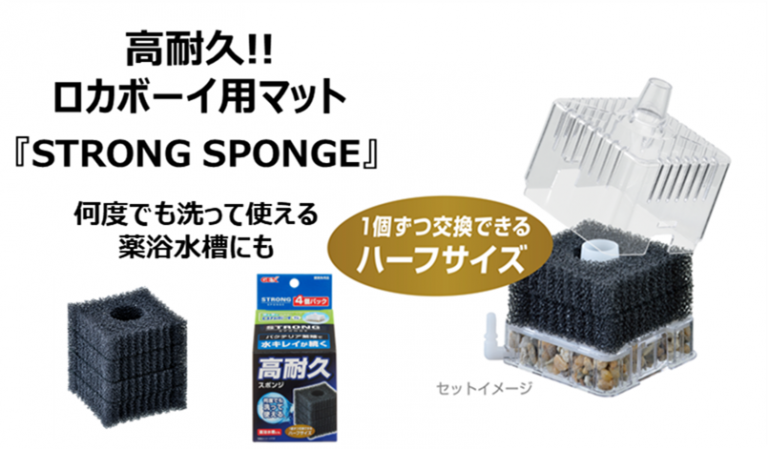 GEX Aquarium Time - 2ページ目 (16ページ中) 熱帯魚 観賞魚 アクアリウム用品 ジェックス株式会社