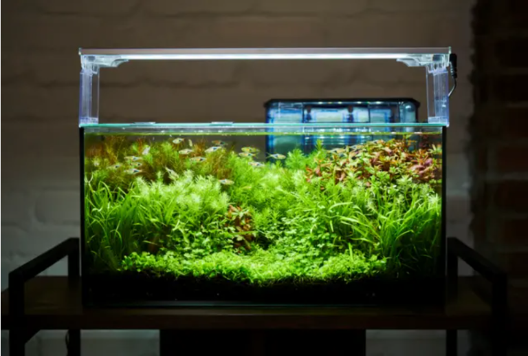 おやすみソイル誕生・開発ストーリー おやすみソイルができるまで