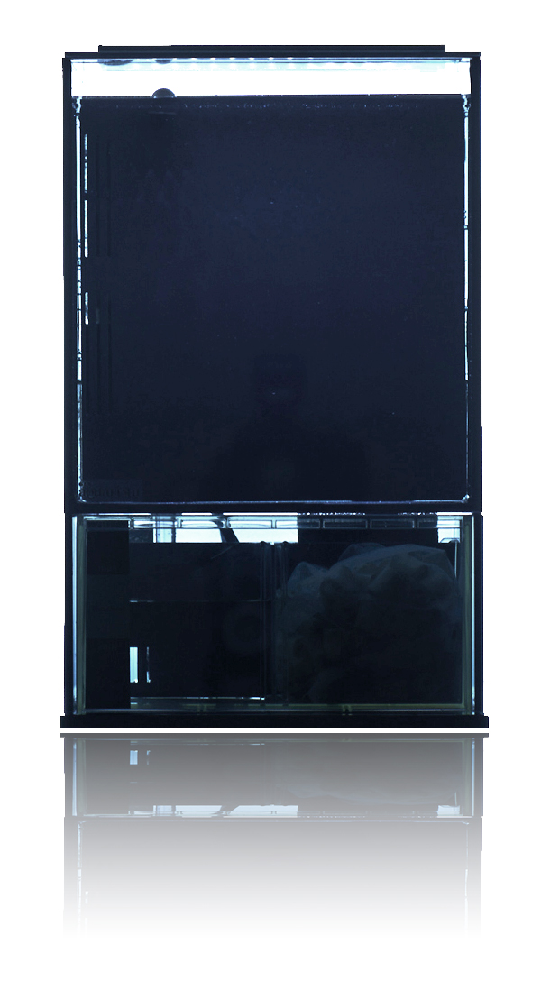 GEX aquarista | アクアリストの想いをカタチに。ジェックス アクアリスタ、新アイデアの水槽、LED、フィルターの登場です。