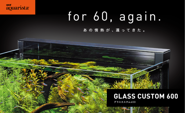 新商品「GLASS CUSTOM 600」メーカー出荷開始 | GEX aquarista | アクアリストの想いをカタチに。ジェックス アクアリスタ、新アイデアの水槽、LED、フィルターの登場です。