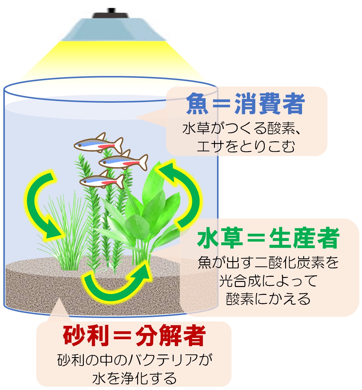 自然を知ろう、学ぼう、楽しもう。 – MeGreen by GEX