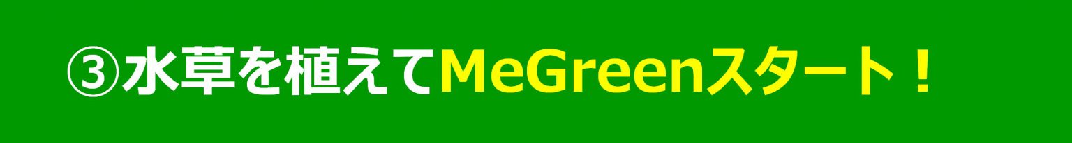 MeGreen by GEX – 水草育成の癒しをもっと身近に。自然を学び、知り、楽しむ MeGreen by GEX
