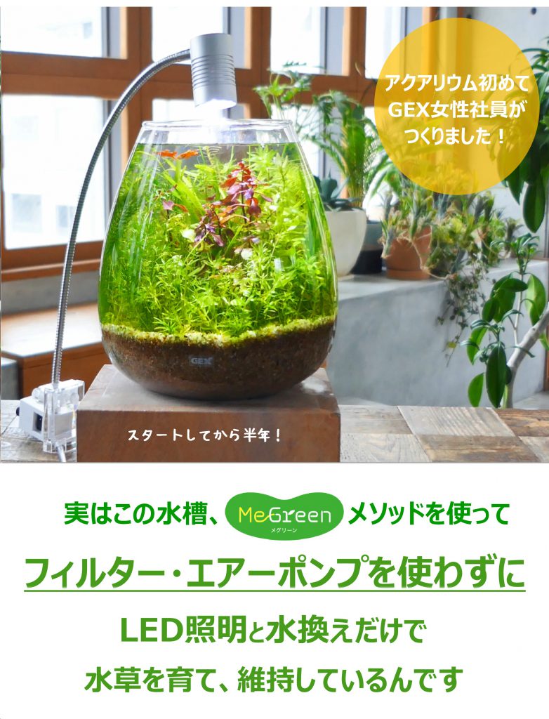 MeGreen by GEX – 水草育成の癒しをもっと身近に。自然を学び、知り、楽しむ MeGreen by GEX