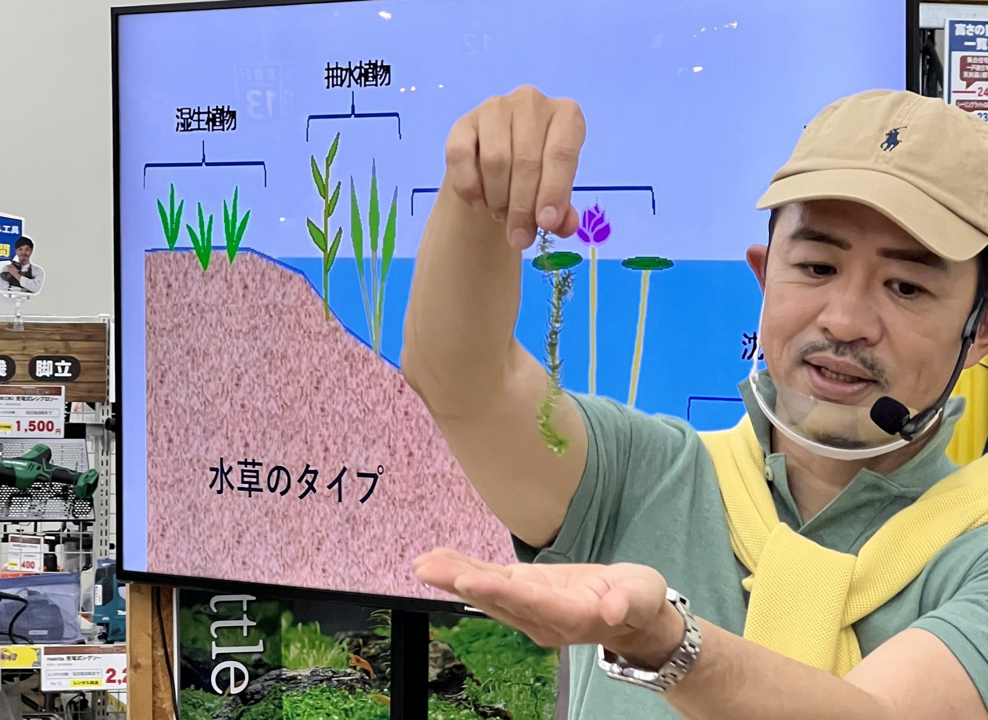 協力：SONOアクアプランツファーム – MeGreen by GEX