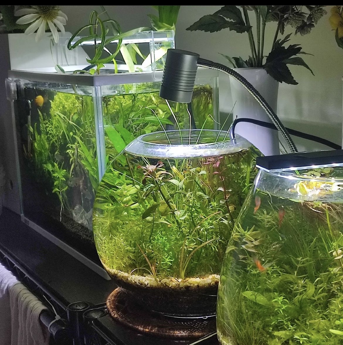 でもやっぱり難しいんじゃない…？と思っているあなたへ – MeGreen by GEX