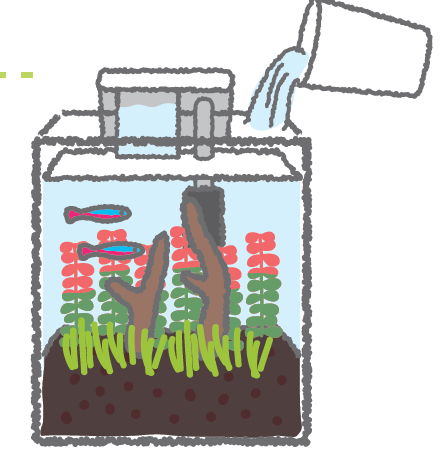 MeGreenをセッティングしよう！ – MeGreen by GEX